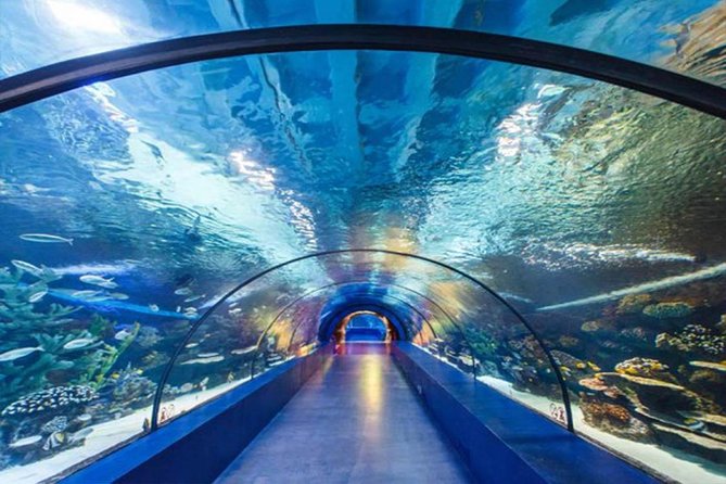 Antalya Tunnel Aquarium - Departure from Side - Group Size, Timing, and Logistics
