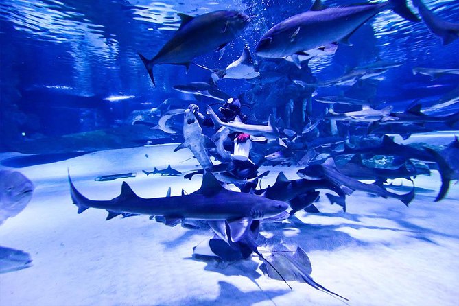 Antalya Tunnel Aquarium - Departure from Side - The Sum Up