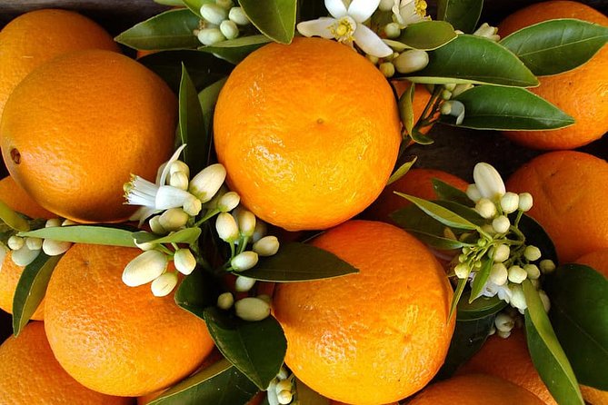 Antalya's Archaeological Treasures Tour - Comfort, Convenience, and Customization