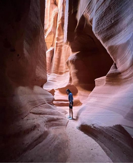 Antelope Canyon and Horseshoe Bend Vip small group tour - Practical Tips for Travelers