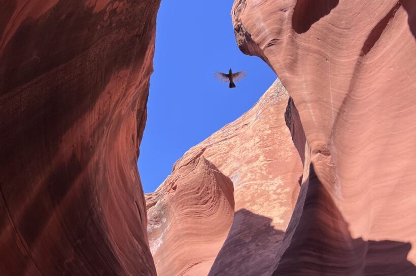 Antelope Canyon: Rattlesnake Canyon Tour - Introduction: A Quiet Corner of Arizona’s Canyon Country