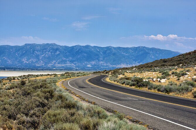 Antelope Island Wildlife Expedition Great Salt Lake Adventure - The Sum Up: Who Should Consider This Tour?