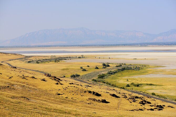 Antelope Island Wildlife Expedition Great Salt Lake Adventure - Frequently Asked Questions