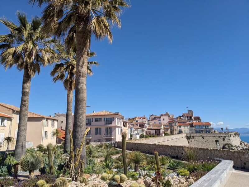 Antibes: 2 hour walking tour in the old town - Why Choose This Tour?