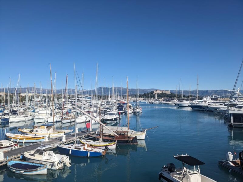 Antibes: 2 hour walking tour in the old town - Who Will Love This Tour?