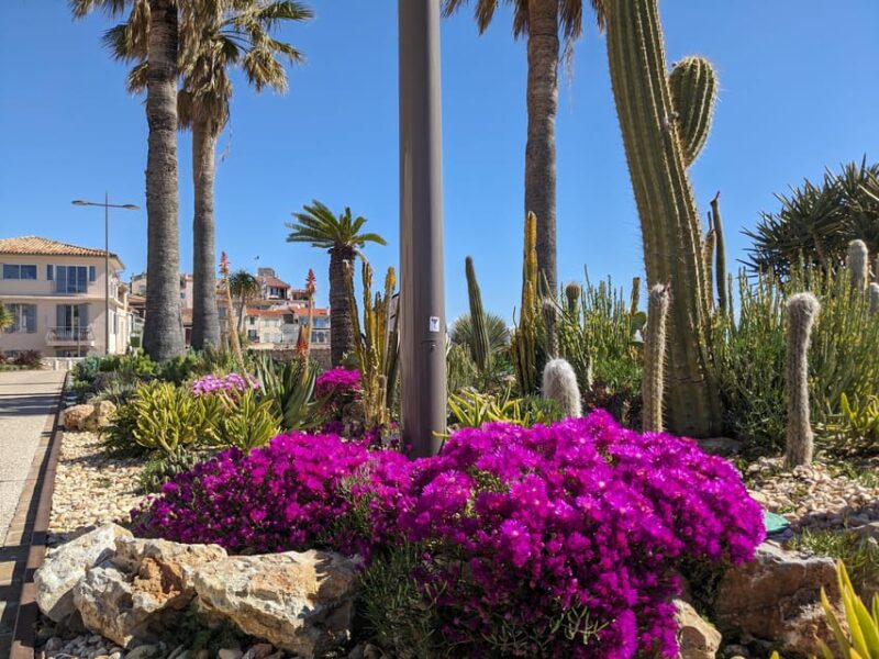 Antibes: 2 hour walking tour in the old town - FAQs