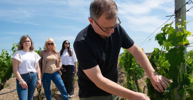 ANTICA ENOTRIA: CELLAR TASTING OF WINES AND PRESERVES - FAQ