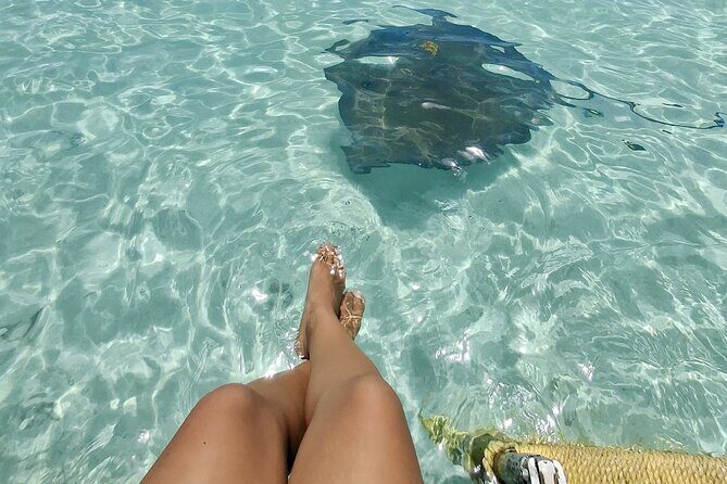 ANTIGUA FROM TOP TO BOTTOM: Stingray City, Beach, lunch & more... - Key Points