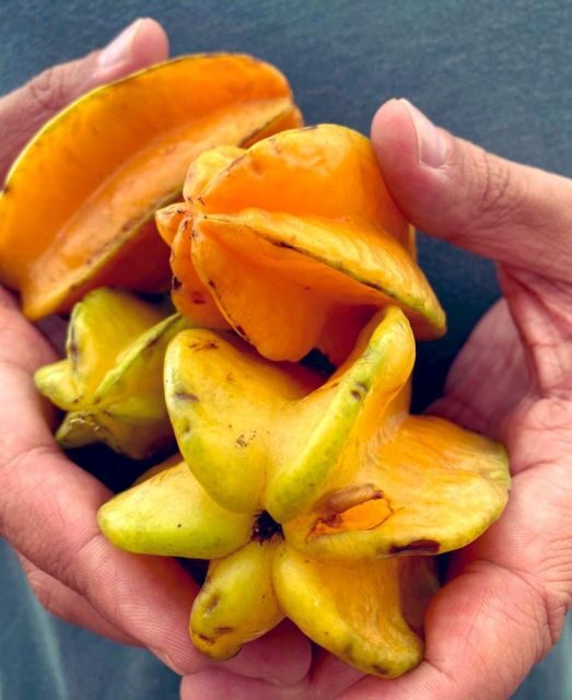 Antigua Guatemala: Street Food Walking Tour with Tastings - Key Points