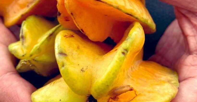 Antigua Guatemala: Street Food Walking Tour with Tastings - Practical Tips for Participants