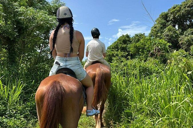 Antigua Horse Ride and Swim - Authentic Interactions and Guest Experiences