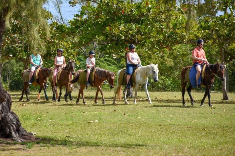 Antigua: Horseback Riding at Royalton or Dickenson Bay - An in-depth Look at the Antigua Horseback Riding Experience