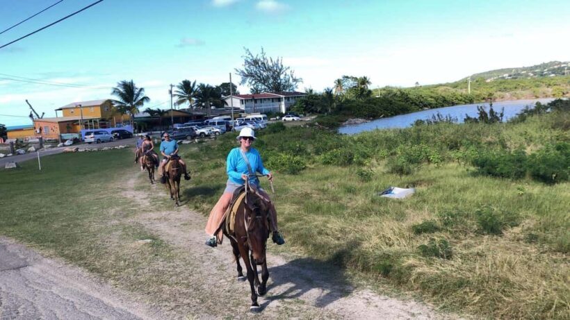 Antigua: Horseback Riding at Royalton or Dickenson Bay - The Sum Up