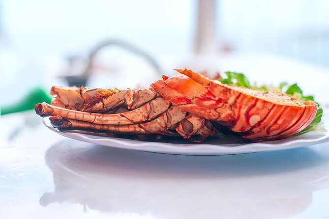 Antigua Seafood Lunch Cruise From St. John's - The Experience: What You Can Expect