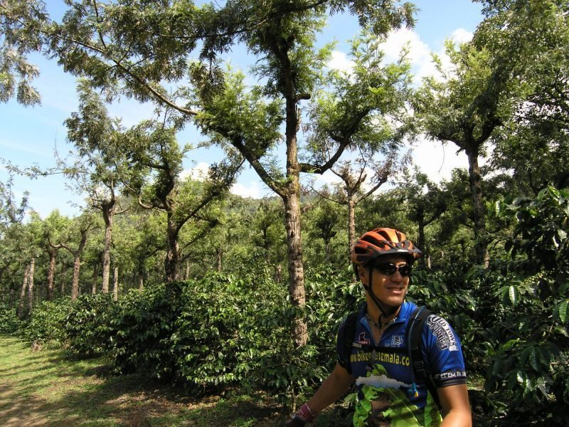 Antigua Sip 'n Cycle Half-Day Bike Ride and Coffee Tour - Practical Tips for Participants