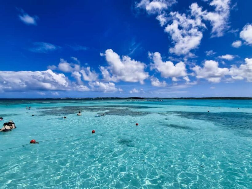 Antigua: Stingray City Experience with Round-Trip Transfer - Key Points