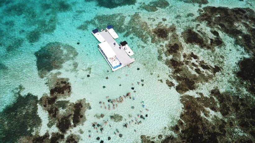 Antigua: Stingray City Experience with Round-Trip Transfer - Value for Money