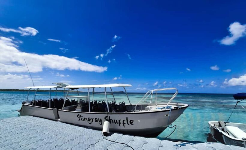 Antigua: Stingray City Experience with Round-Trip Transfer - Authentic Wildlife Encounters in a Majestic Setting