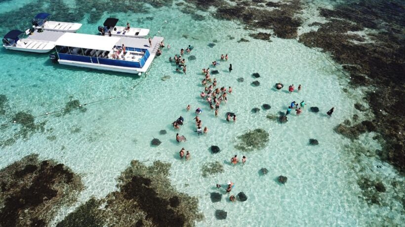 Antigua: Stingray City Experience with Round-Trip Transfer - FAQ