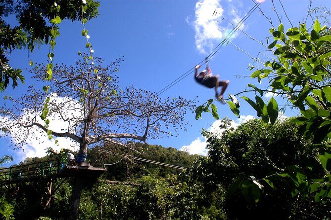 Antigua Zipline Canopy Adventure from St Johns - Authenticity and Value