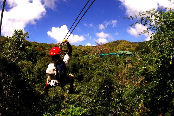 Antigua Zipline Canopy Adventure from St Johns - Who Will Love This Tour?
