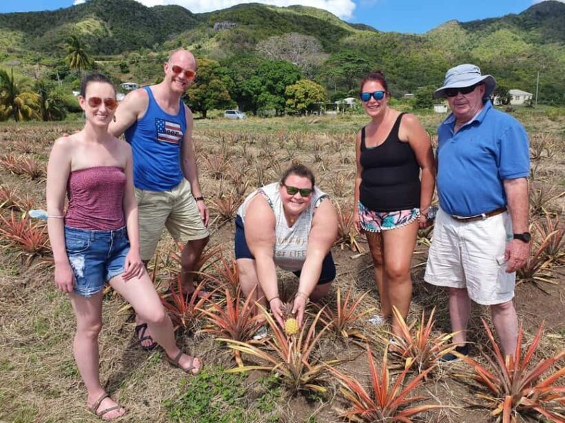 Antiguan experience home tour with local guide with lunch - Exploring Antigua’s Authentic Side: The Home, Farm, and Beach Tour