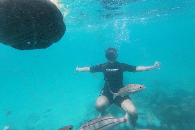 Antilla Shipwreck Seabob Tour - An In-Depth Look at the Antilla Shipwreck Seabob Tour