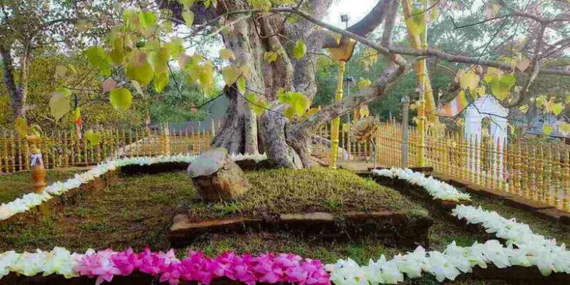 Anuradhapura & Aukana: Private Day Tour From Habarana - Return Journey and Reflection