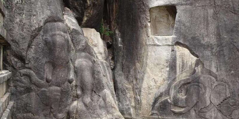 Anuradhapura & Aukana: Private Day Tour From Habarana - Practical Details