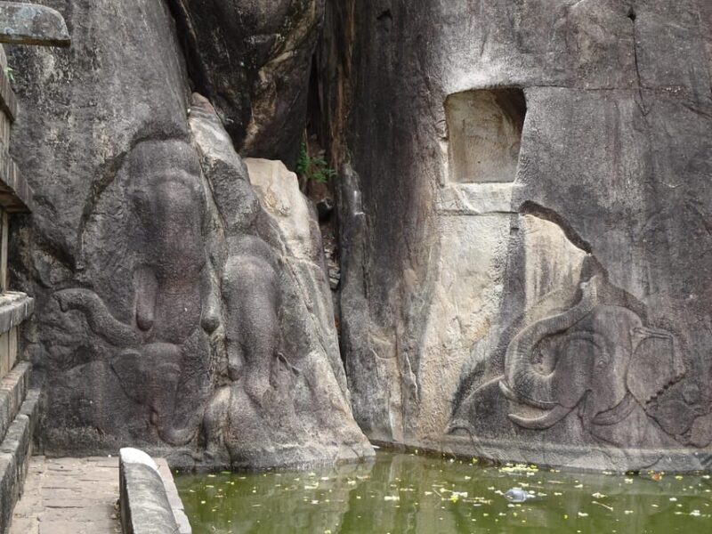 Anuradhapura & Aukana: Private Day Tour From Sigiriya - Aukana: The Serene Buddha Carving
