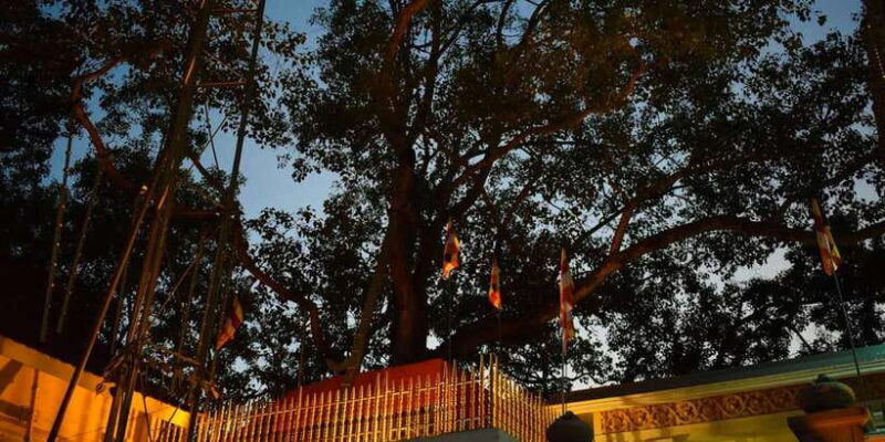 Anuradhapura & Aukana: Private Day Tour From Sigiriya - FAQ