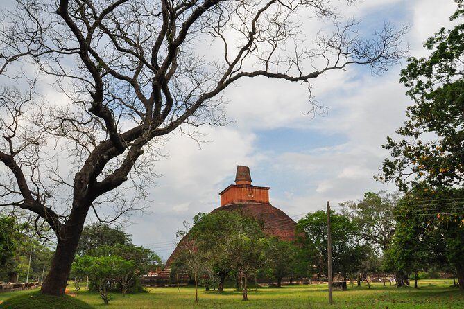 Anuradhapura Buddhist Icons Tour from Kalpitiya - Key Points