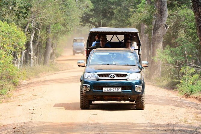 Anuradhapura: Full-Day Wilpattu National Park Private Safari - Price and Value Analysis