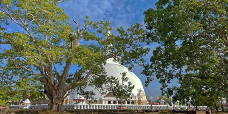 Anuradhapura Private Ancient City Day Tour - Transportation and Practicalities