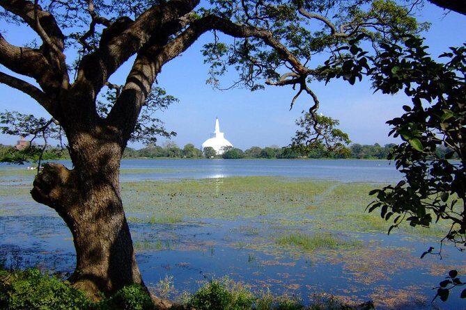 Anuradhapura Private Day Trip from Colombo, Negombo, or Katunayaka - Anuradhapura Private Day Trip from Colombo, Negombo, or Katunayaka