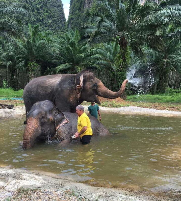 Ao Luek Hidden Safari - Bamboo Rafting: Floating Through Serenity