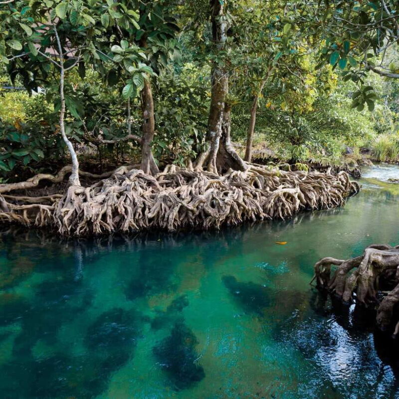 Ao Luek Hidden Safari - Accessibility and Suitability