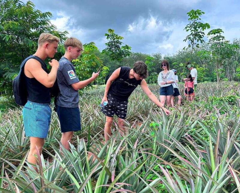 Ao Nang: Crystal Pool Kayaking, ATV, and Pineapple Farm Tour - Final Thoughts