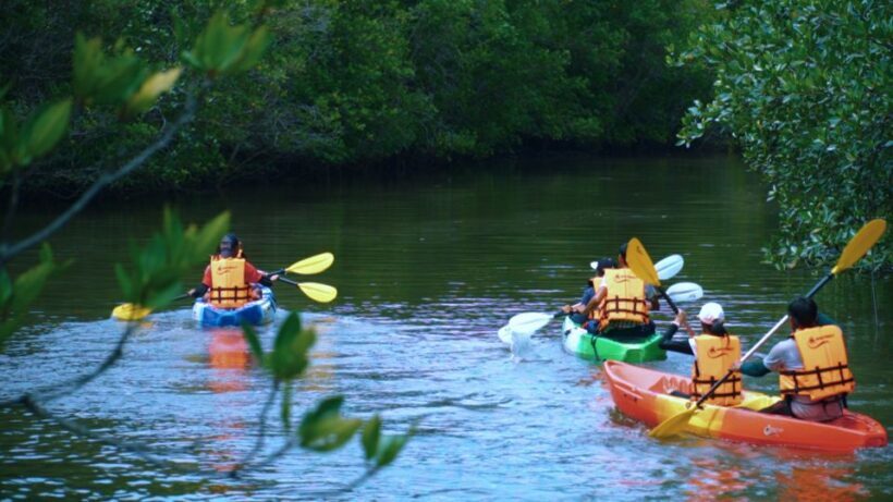 Ao Nang: Kayak Tour in Krabi Mangrove Forest with Lunch - Introduction: Why This Tour Could Be Your Best Krabi Experience