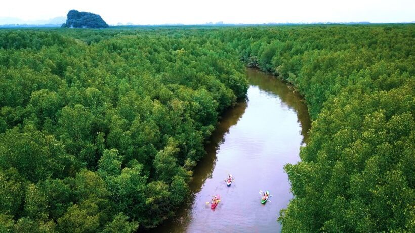 Ao Nang: Kayak Tour in Krabi Mangrove Forest with Lunch - FAQ