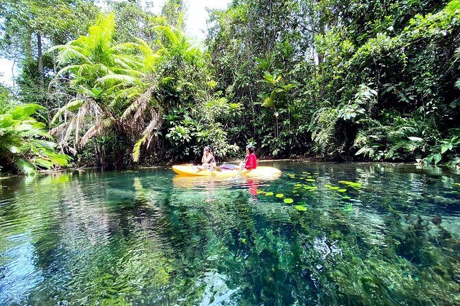 Ao Nang Kayaking at Klong Rud with Hotel Transfer - The Itinerary: What You Can Expect