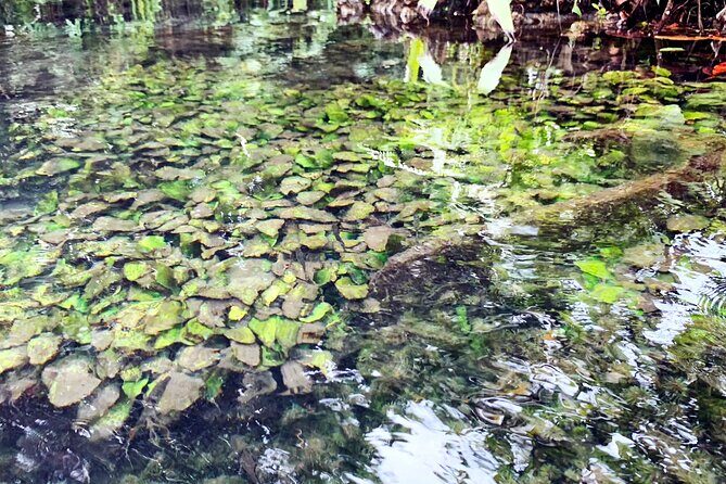 Ao Nang Kayaking at Klong Rud with Hotel Transfer - Who Would Enjoy This Tour?