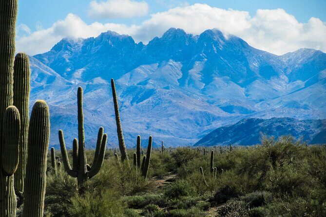 Apache Trail Private Half-Day Tour - The Sum Up: Who Will Love This Tour?