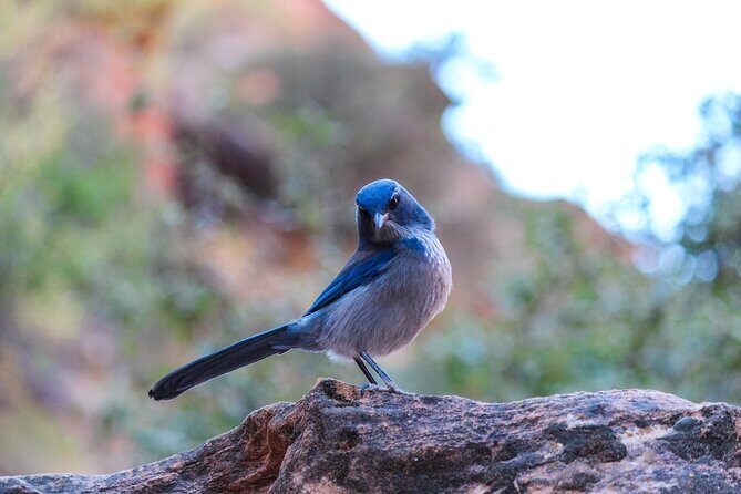 Apache Trail Private Half-Day Tour - FAQs