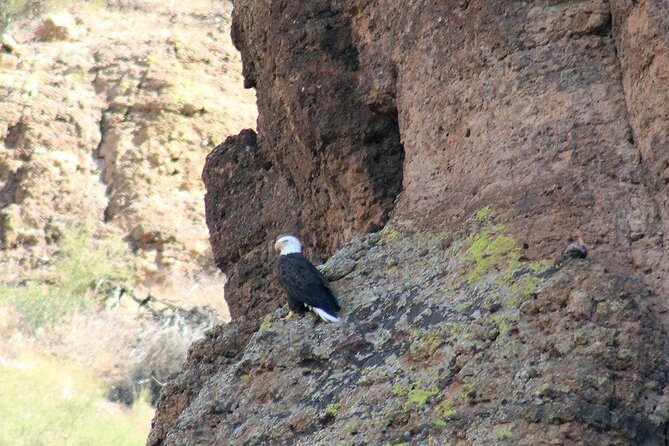 Apache Trail With Dolly Steamboat - Scenic Views of the Superstition Mountains