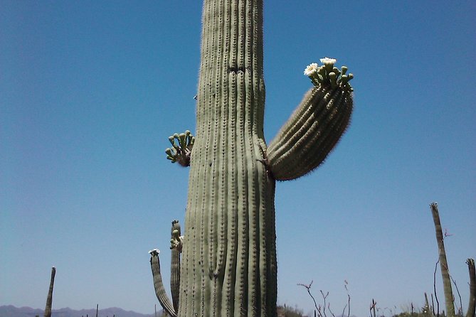 Apache Trail With Dolly Steamboat - The Dolly Steamboat Experience