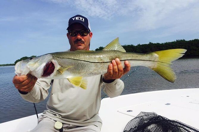 Apalachicola Inshore Fishing Charter - Discover the Apalachicola Inshore Fishing Charter: A Balanced Look at a Florida Fishery Adventure