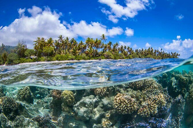 Apetahi day trip around Raiatea on a modern outrigger canoe - Key Points