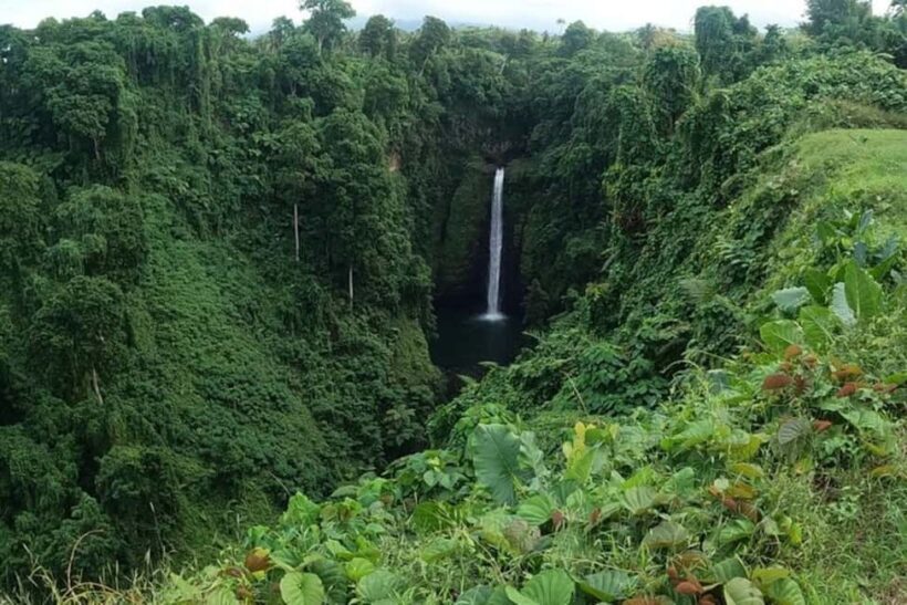 Apia: Full-Day Upolu Island Tour with Waterfalls and Beaches - The Sum Up
