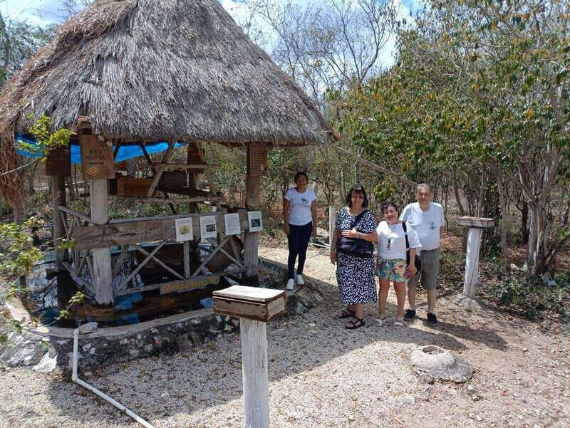 Apiary Tour (Bee tour) also Archeological site and salt Pond - A Detailed Look at the Apiary Tour Experience